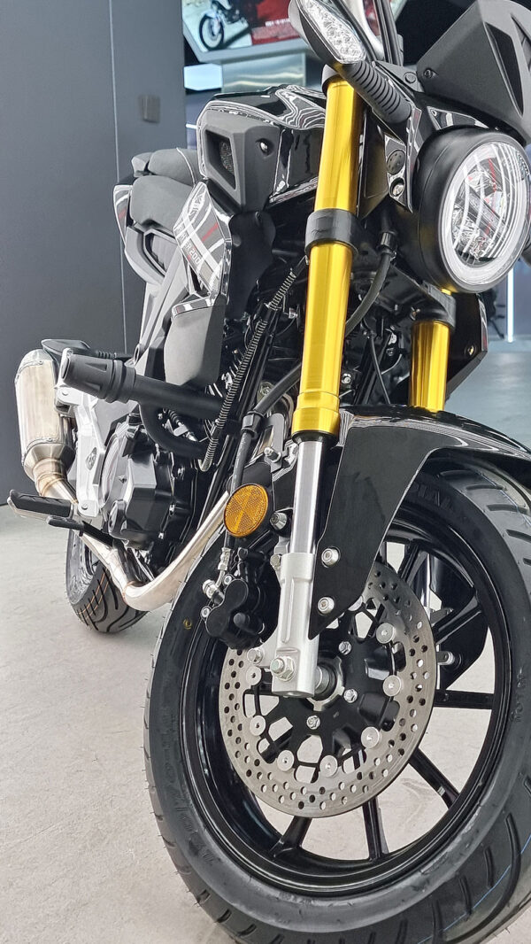 Fighter 200 EFI – Freedom Scooters LLC